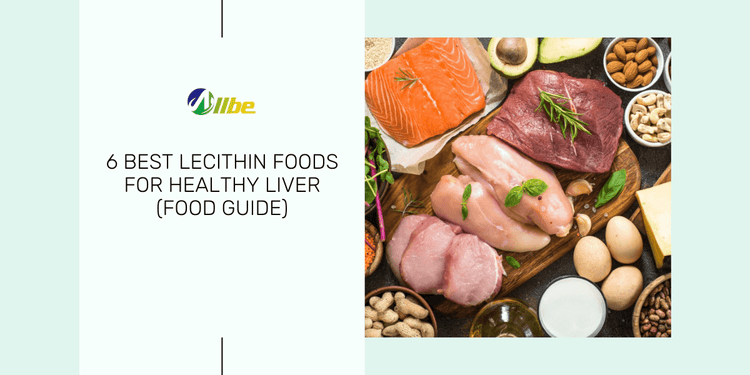 6 Best Lecithin Foods for Healthy Liver (Food Guide) - Allbe Canada